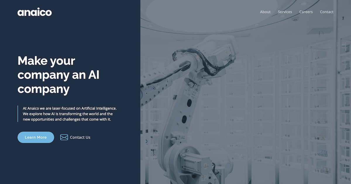 Where AI is opportunity | Anaico